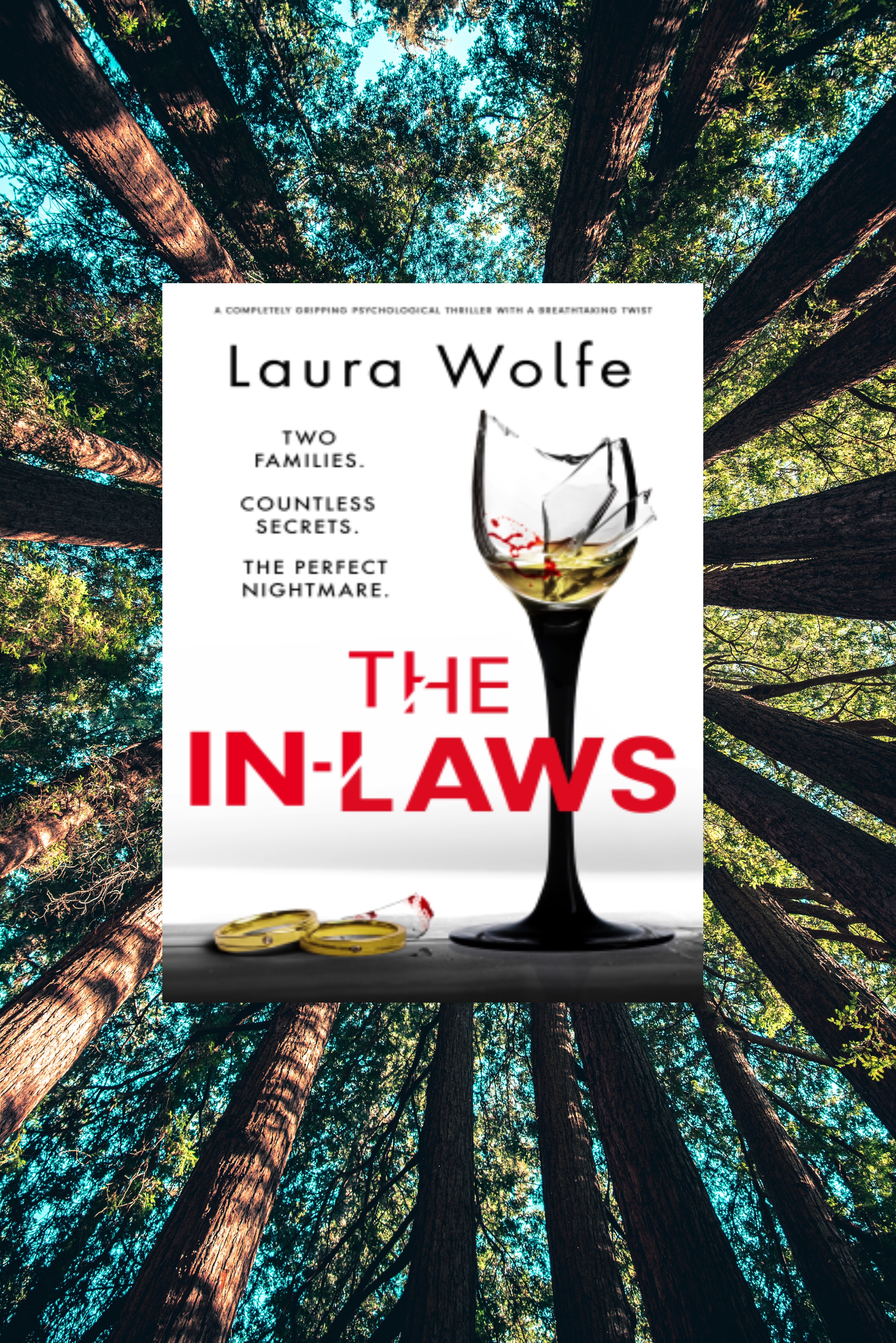 The In-Laws – Book Cravings