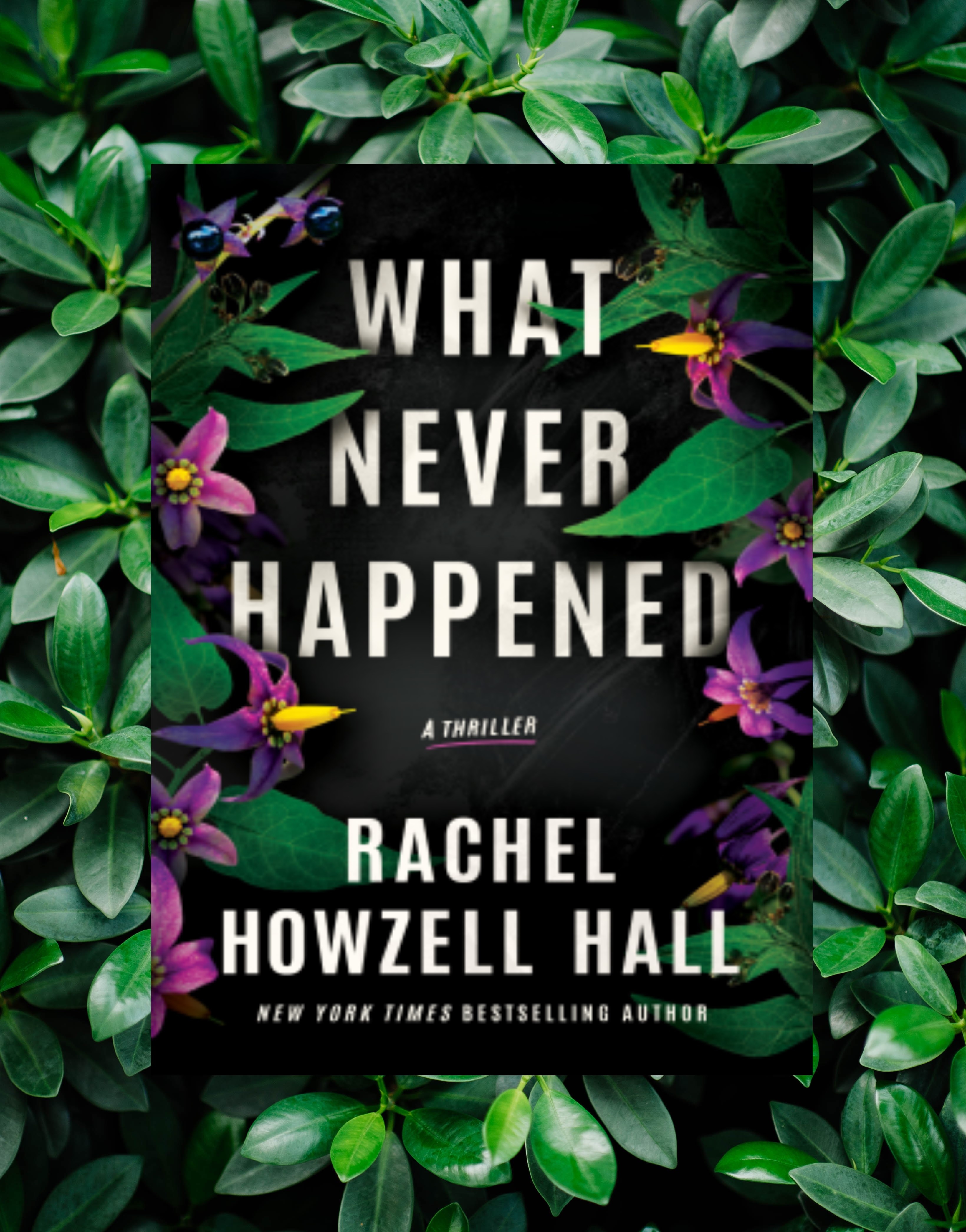 What Never Happened – Book Cravings
