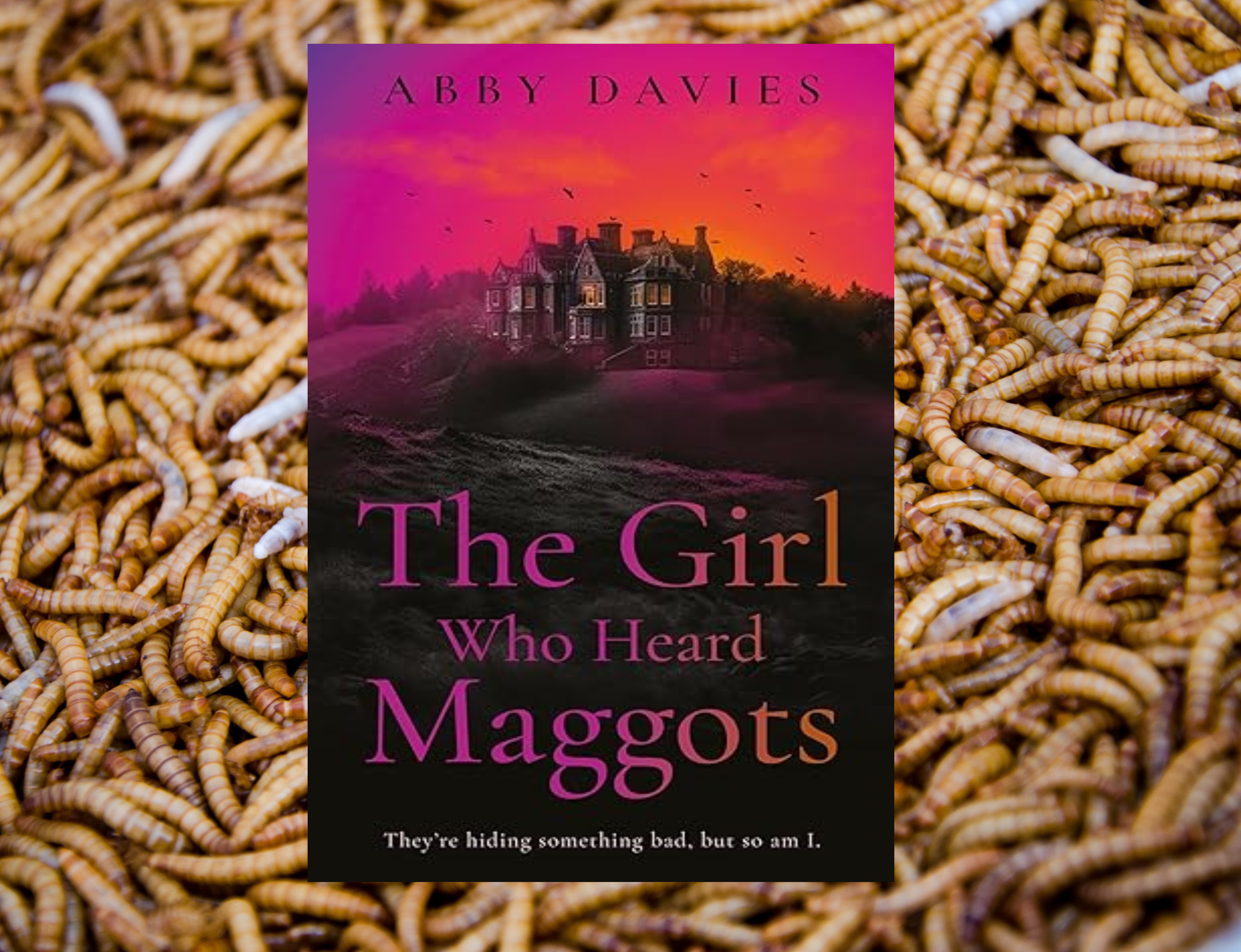 The Girl Who Heard Maggots – Book Cravings